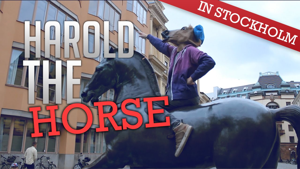 Harold The Horse In Stokcholm - YouTube