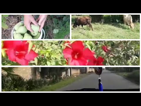Kende ketdik Ata ocagindan cekim etdim.1ci hisse