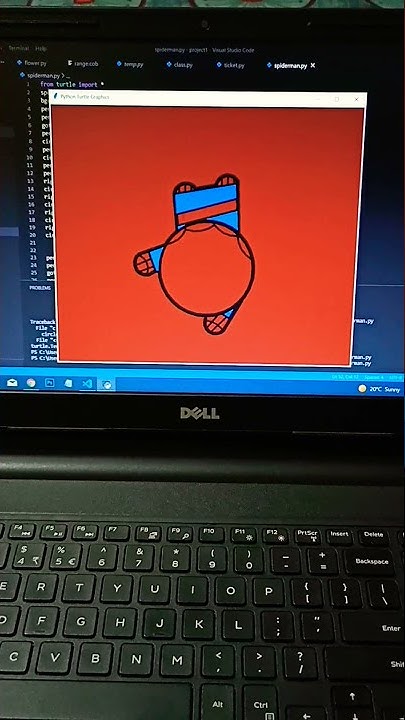 python turtle 🐢 program source code https://github.com/AlkeySheng ...