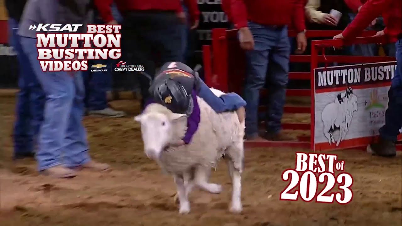 BEST OF MUTTON BUSTING 2023 - YouTube