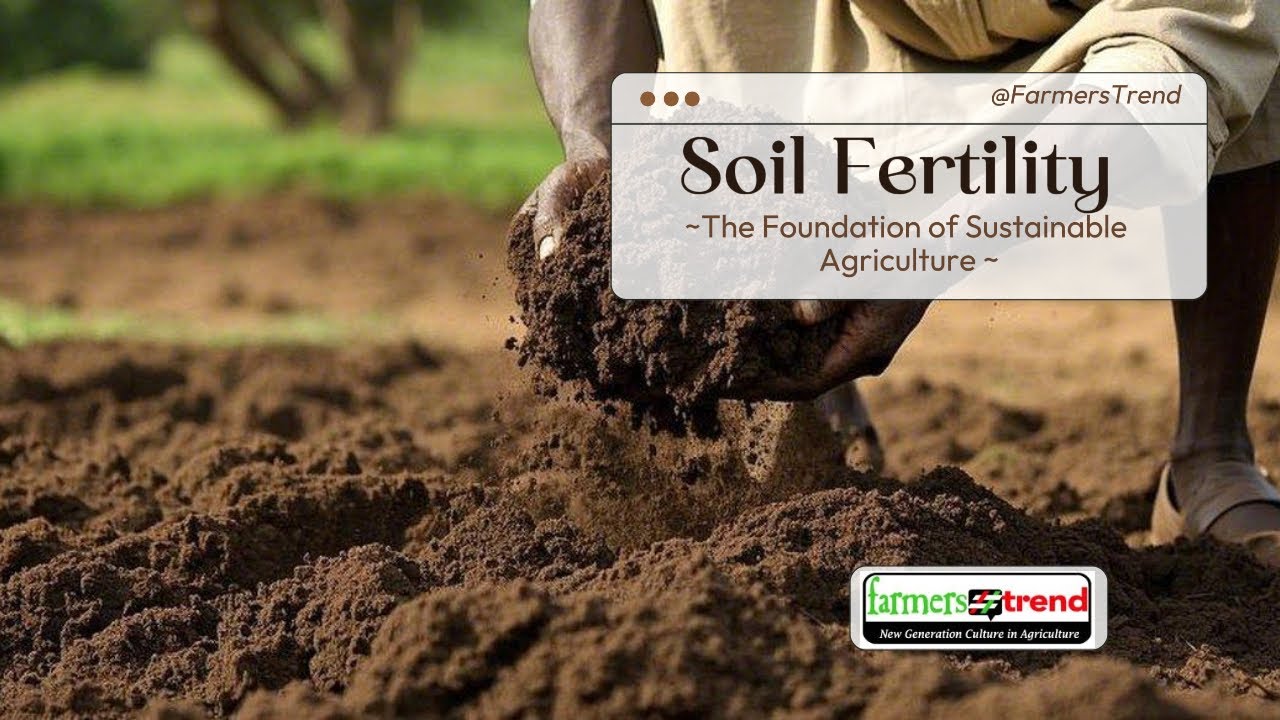 Soil Fertility: The Foundation of Sustainable Agriculture - YouTube