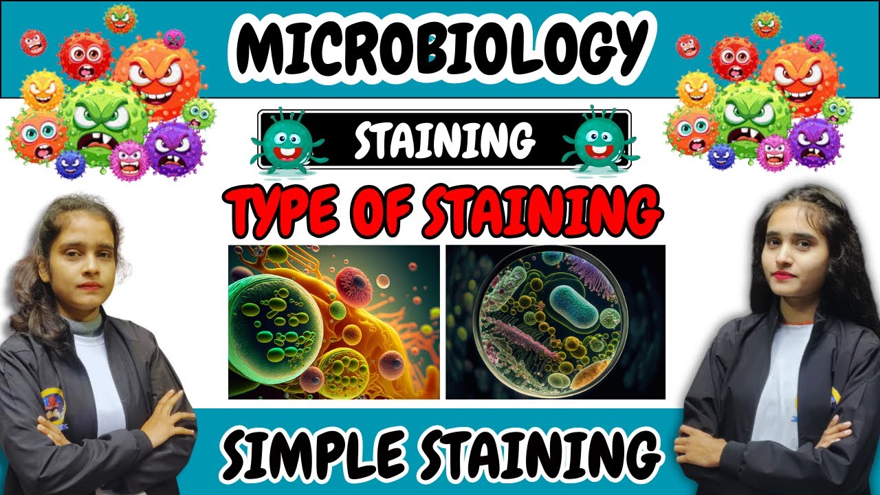 Staining techniques in microbiology || Simple staining || Gram 's staining || Acid fast staining ...