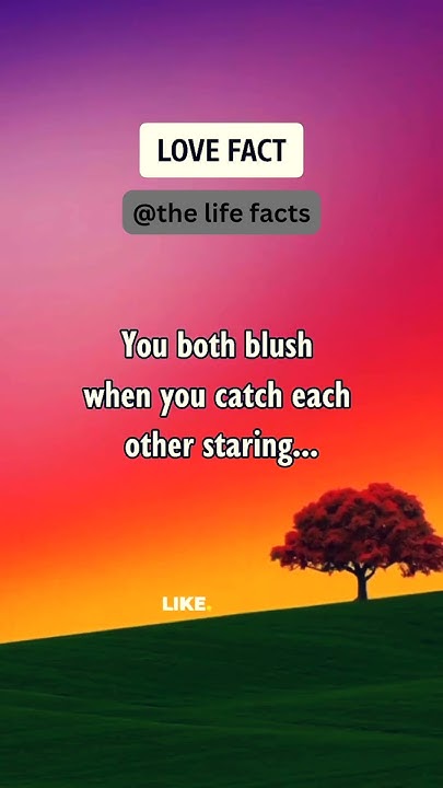 6 Signs You're Both Secretly Crushing on Each Other! Love Facts #shorts #psychologyfacts - YouTube