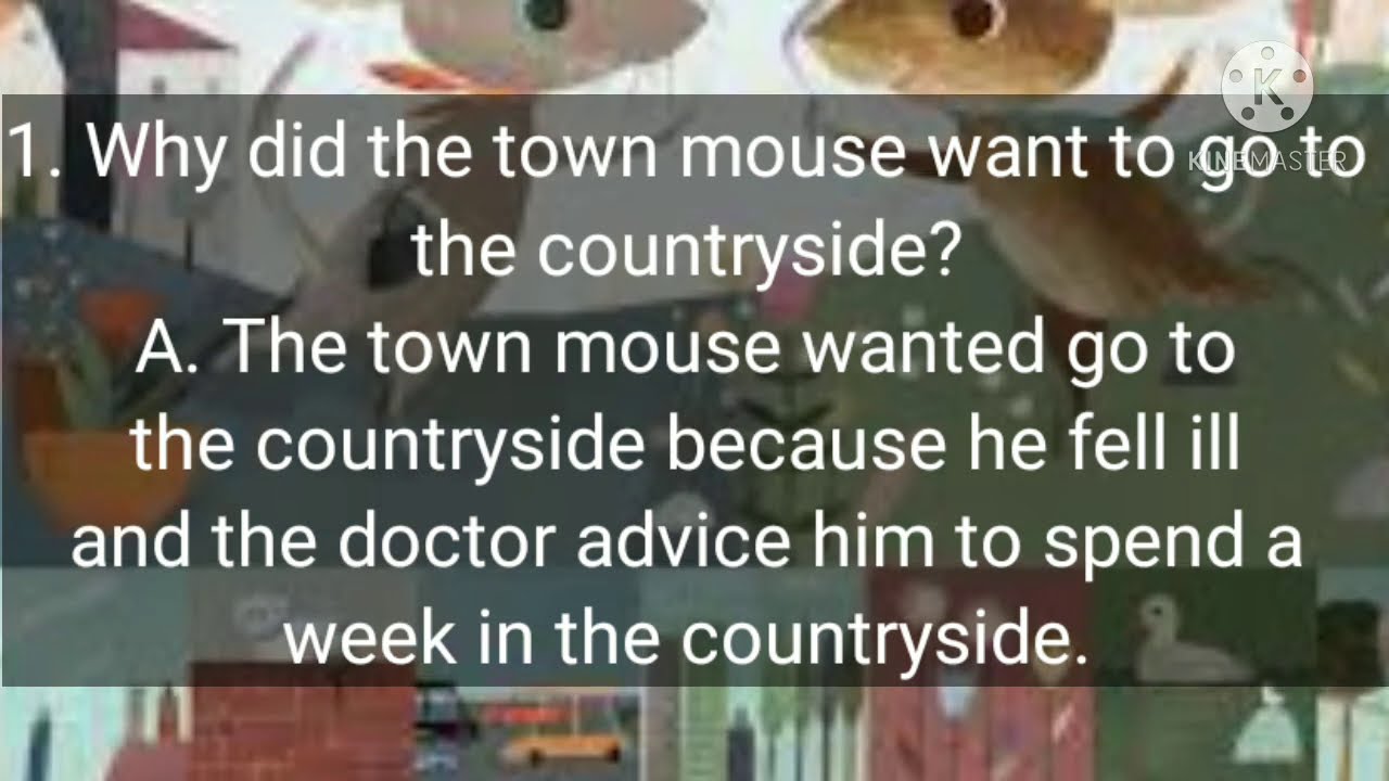 The Town Mouse and Country Mouse Comprehension questions 7th class ...