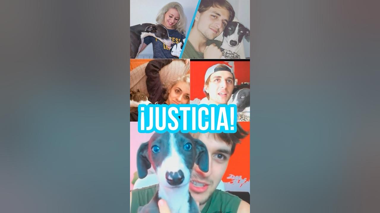 Dalas, Miare y su perro Argos ¿Qué pasa con la justicia española? ¿No que tan pro? - YouTube