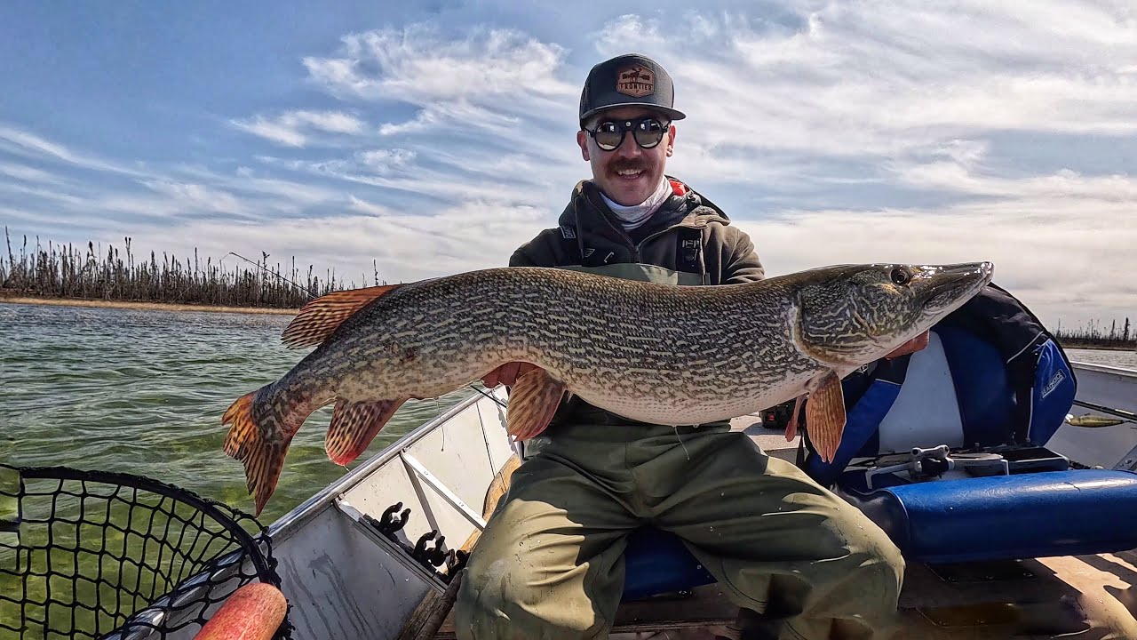 Sight Fishing Pike With A Drone - YouTube