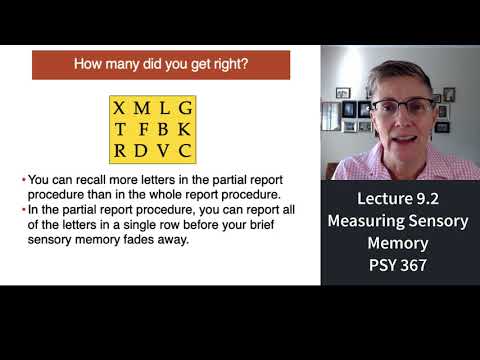 What Three Questions Is Sperling Asking In His Experiment