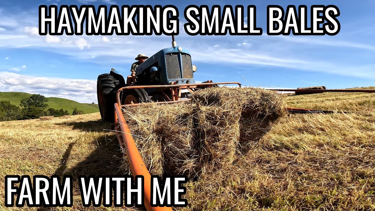 Making Hay for 100s of Cows - YouTube