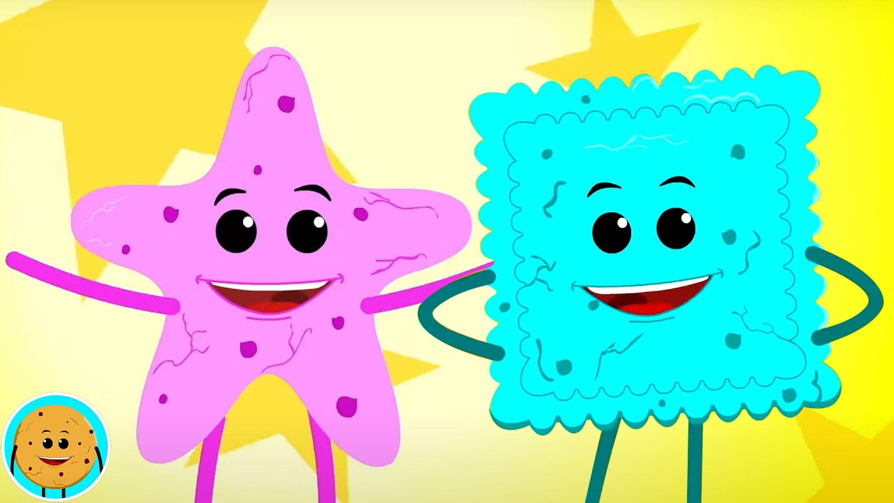 Hokey Pokey Dance Song + More Nursery Rhymes & Music for Kids - YouTube