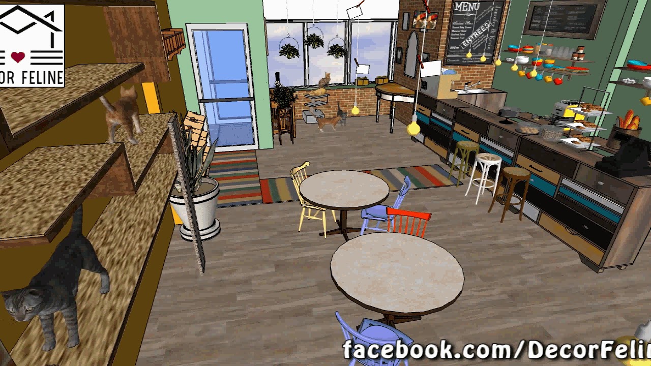 Vidéo 3D du Café Chato - YouTube