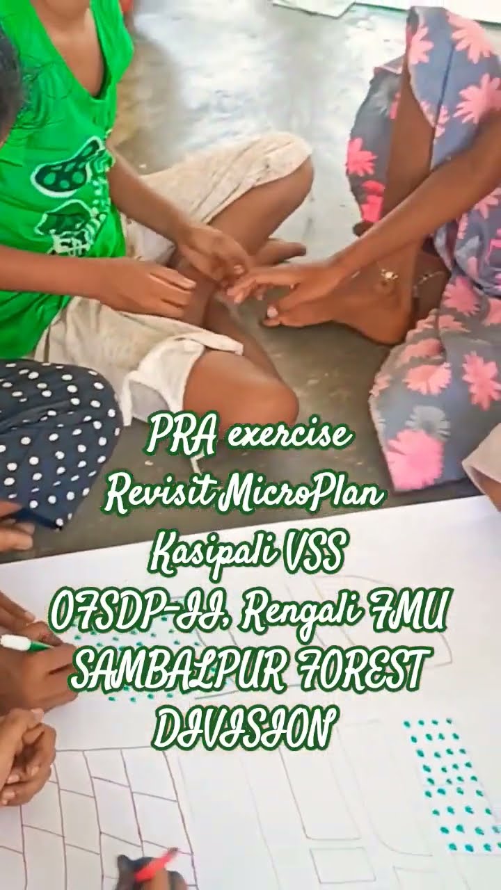 Revisit MicroPlan - YouTube