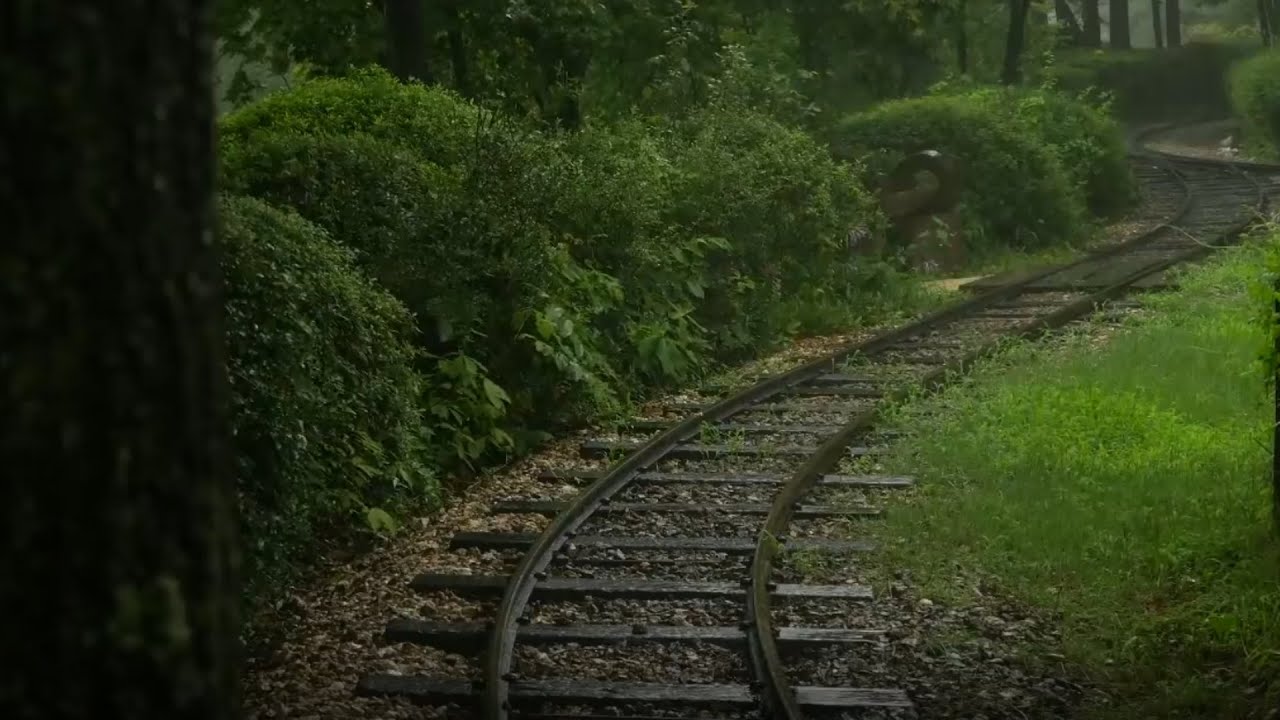 12 hours | Train tracks in the forest, rainy scenery on the tracks ...