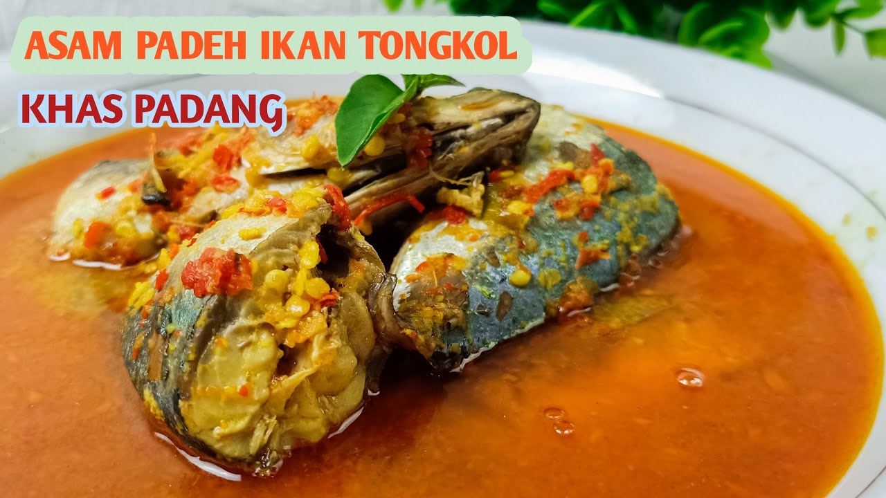 RESEP ASAM PADEH IKAN TONGKOL KHAS MINANG, RUMAH MAKAN PADANG - YouTube