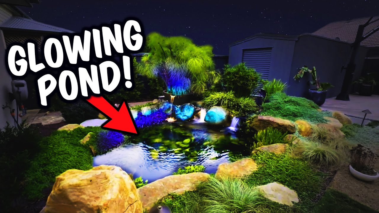 GLOWING Night Koi Pond - YouTube
