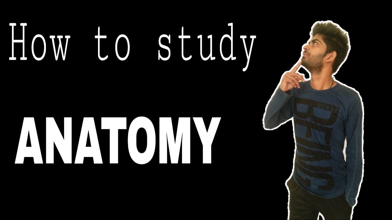 How To Study Anatomy YouTube How To Study Anatomy YouTube