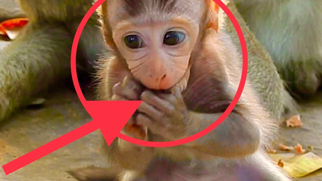 Interesting Newborn! Mom Reject baby so pity it - YouTube
