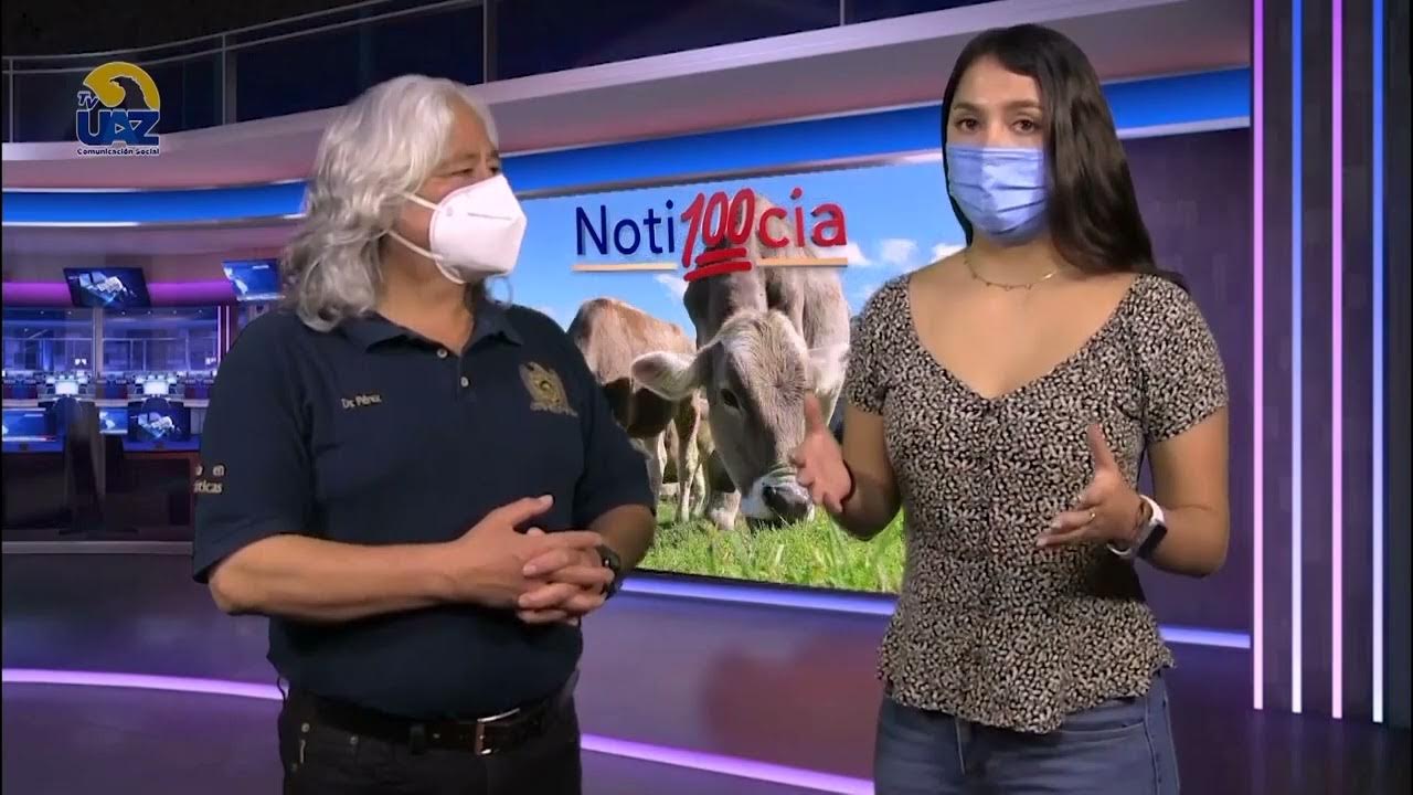 Noti💯cia 2 - YouTube