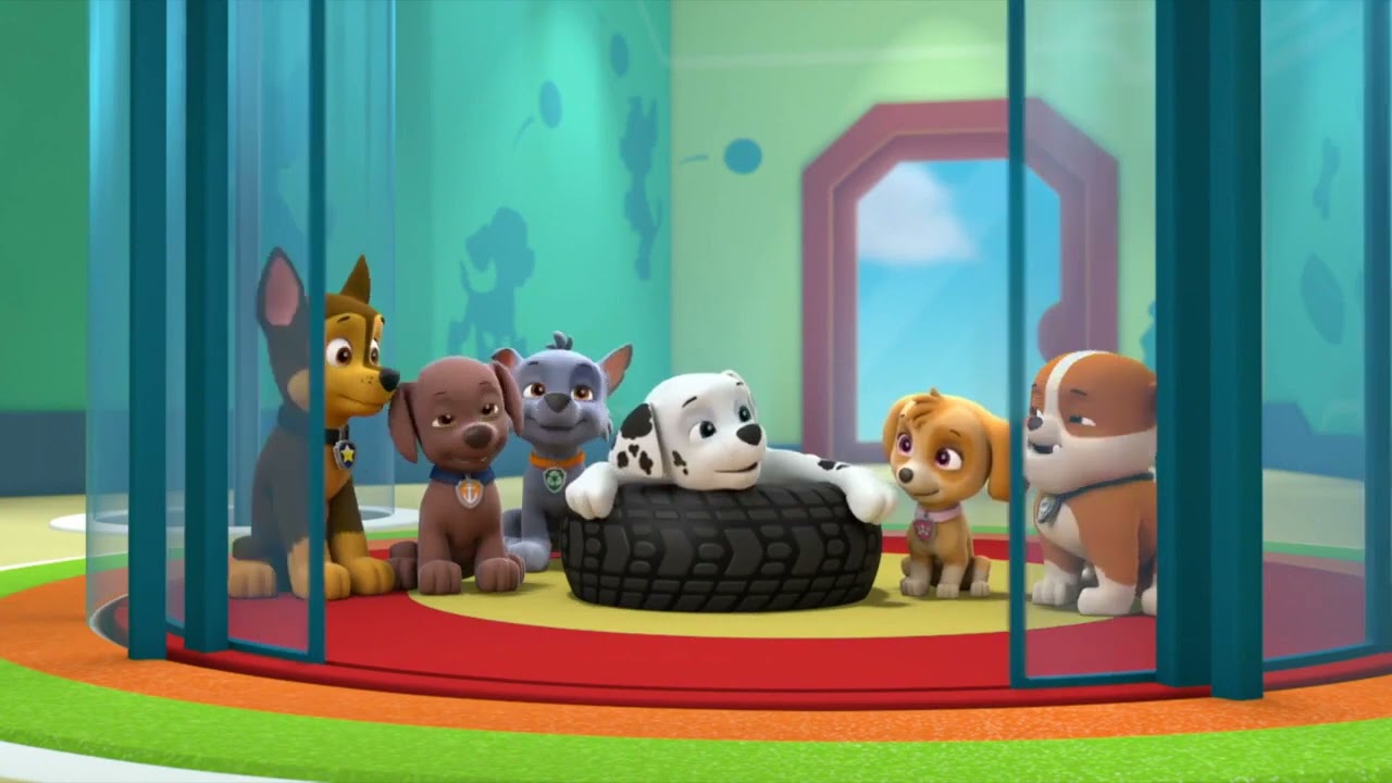 PAW Patrol | Marshall's Weekly Wipeouts! | Pups Save The Kitty Rescue ...