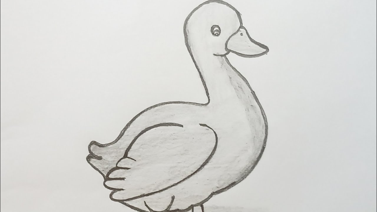 duck drawing tutorial/ How to draw Duck easy step by step / duck ...