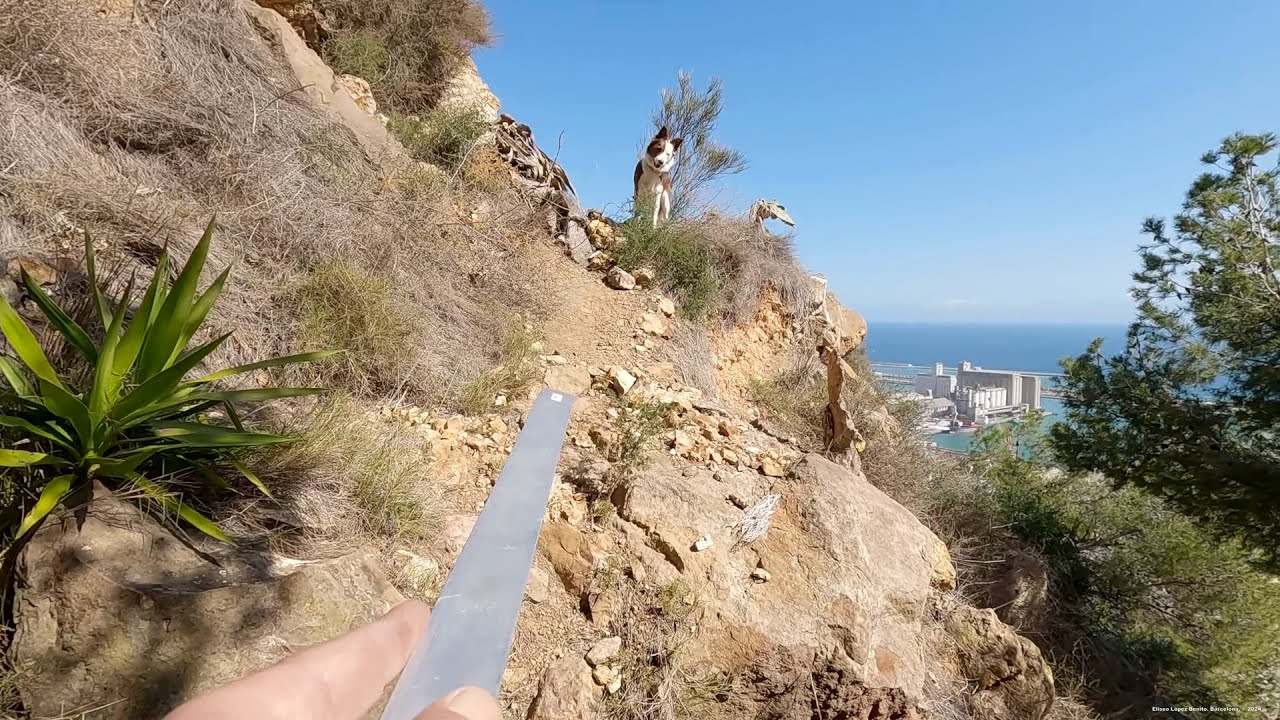 LA CALZADA MEGALÍTICA DE MONTJUÏC. ISAAC MORENO GALLO, ¿DE QUÉ SE TRATA ...