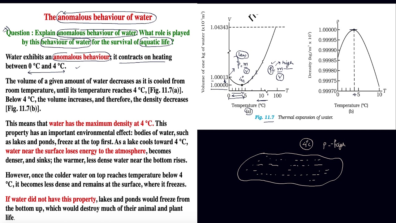Anomalous Behaviour Of Water YouTube anomalous-behaviour-of-water-youtube
