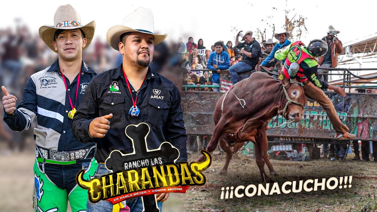 ¡ESTO ES LO QUE LE GUSTA A LOS MICHOACANOS! VER BUENOS CONTRA BUENOS ...