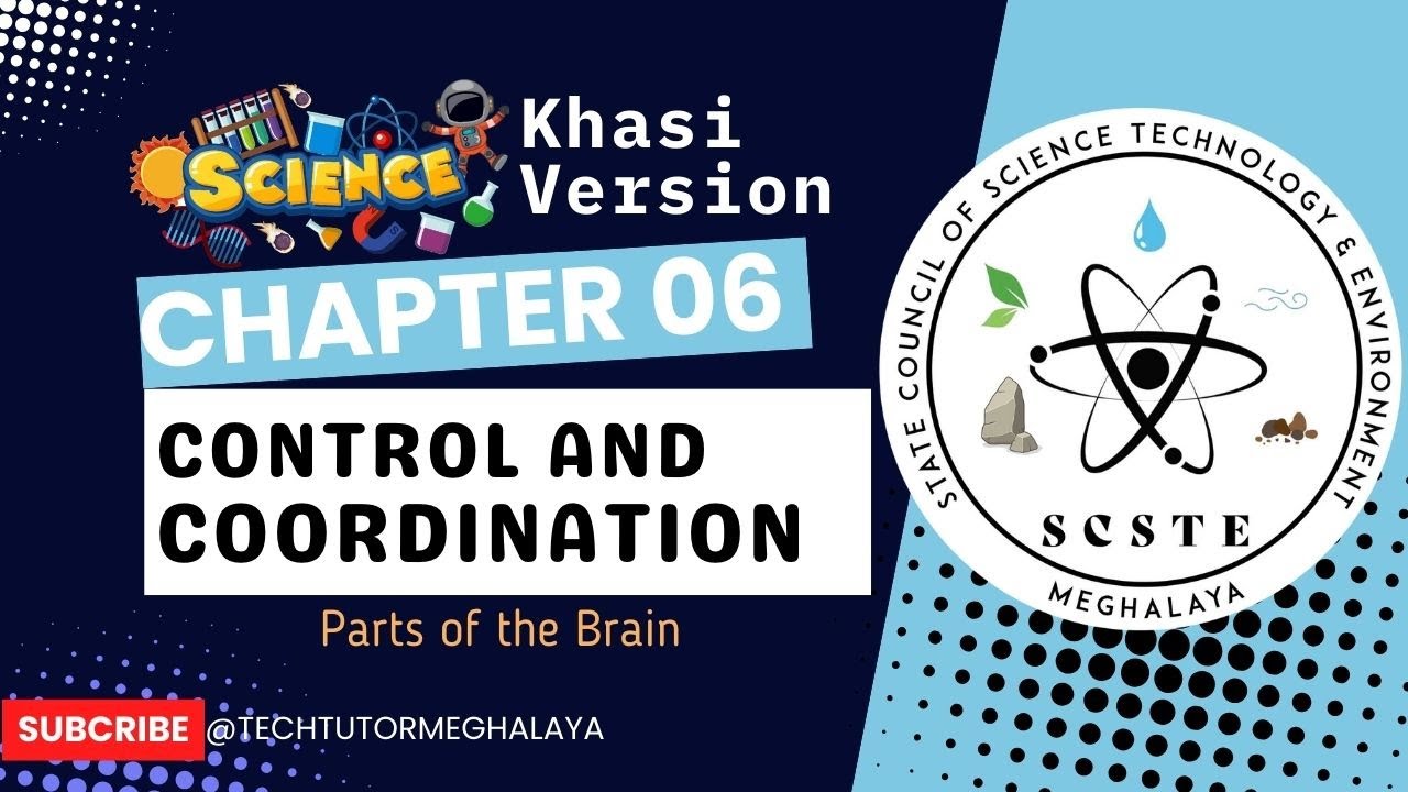 Science | 06 Chapter |CONTROL AND COORDINATION| Parts of the Brain ...