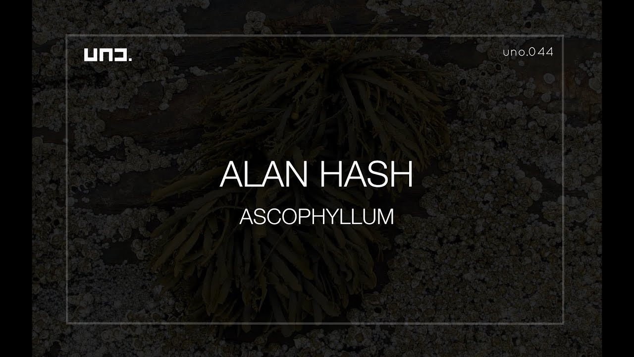 UNO044 - Alan Hash :: ASCOPHYLLUM - Orig Mix - YouTube