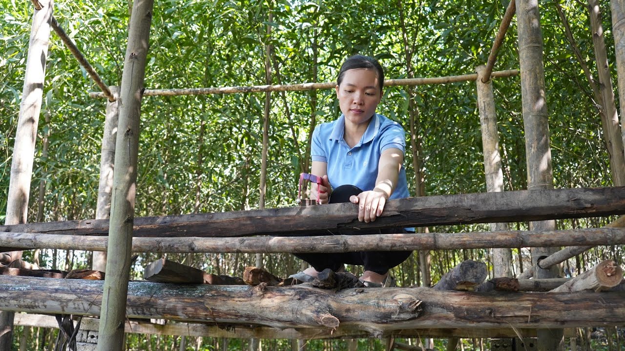 After Visit Robert Green Forest Life I Build My Own Farm. Life in The ...