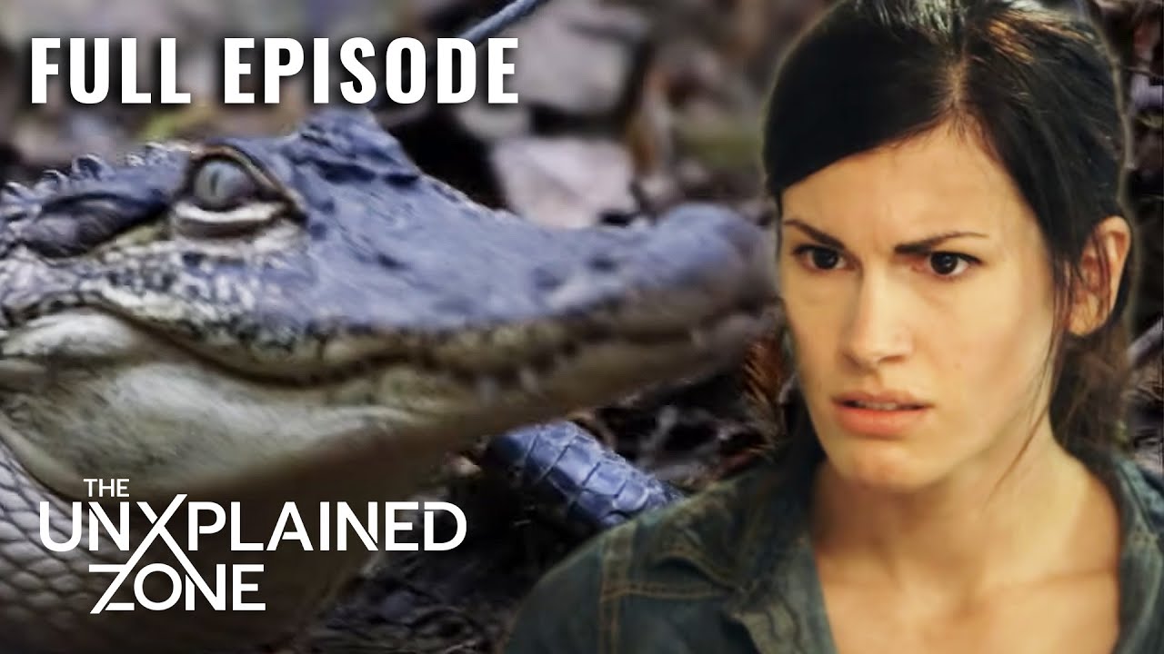Face-to-Face With the Swamp Killer! (S1, E5) | Cryptid: The Swamp Beast ...