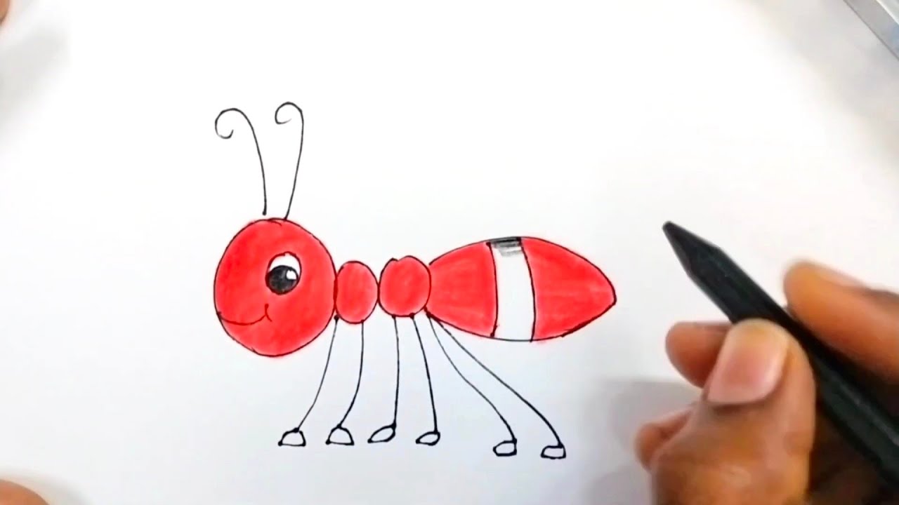 How to Draw a Ant || Ant easy drawing for kids || #drawing - YouTube