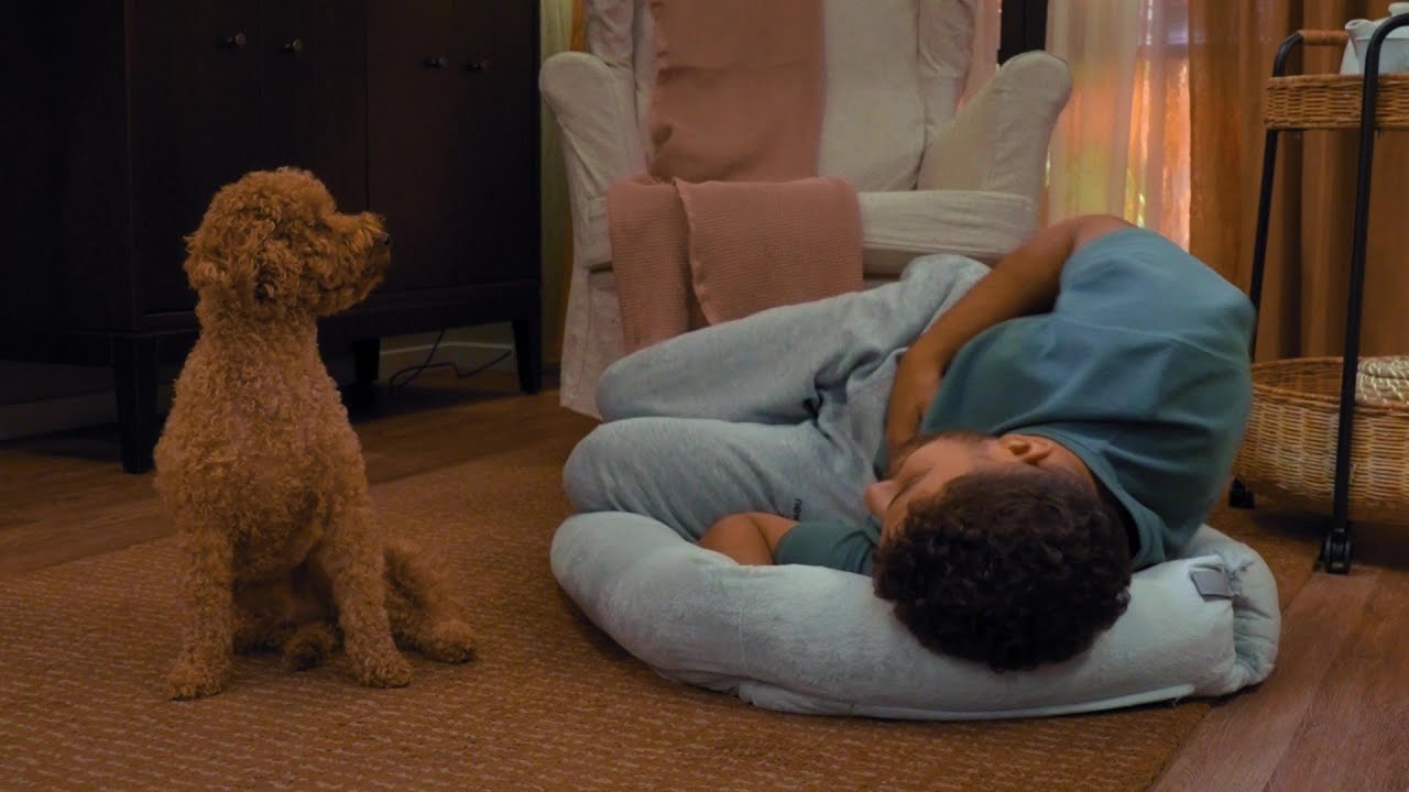 Pour Ikea, C'est toi le Chat ! Une Publicité pleine d'Humour