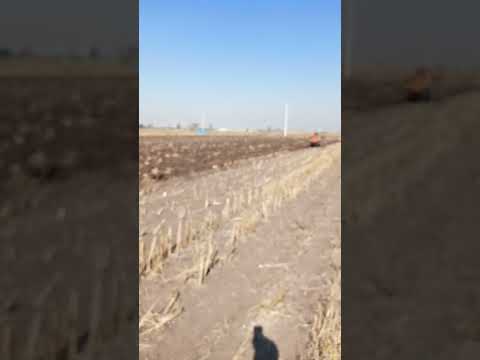 Fiat 480 Lee iş başında