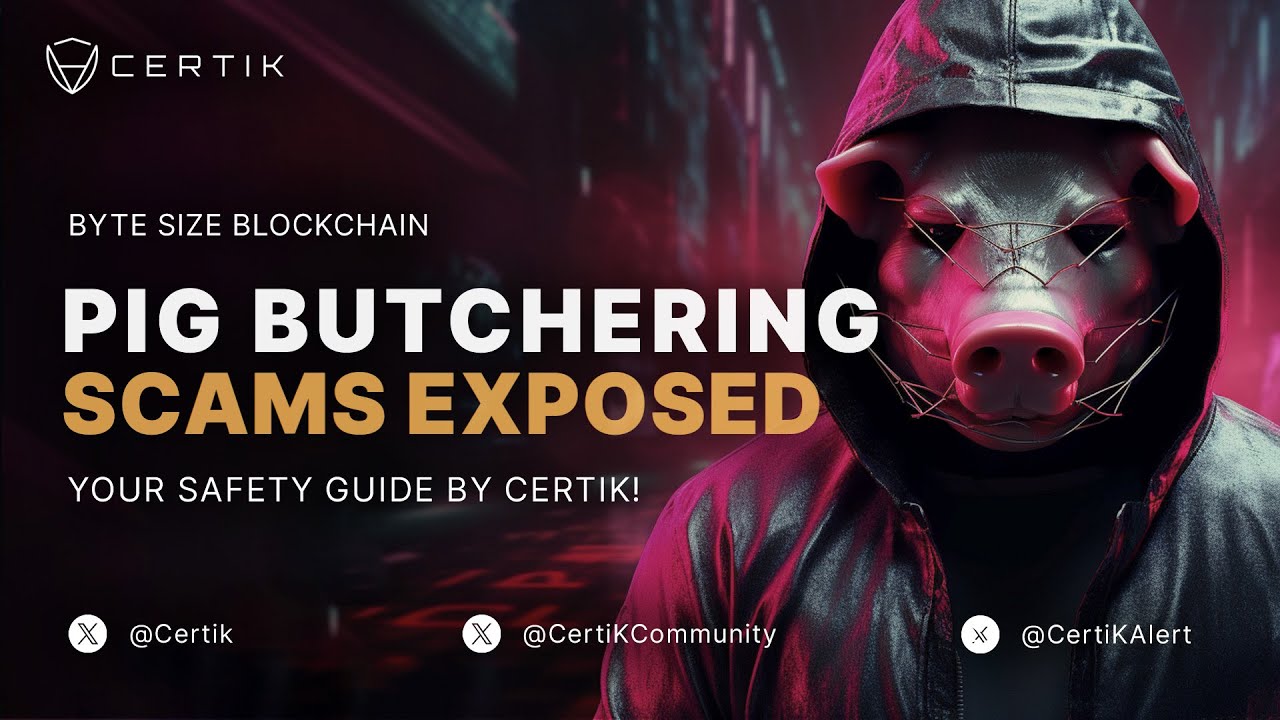 Pig Butchering Scams Exposed, Your Safety Guide by CertiK! - YouTube