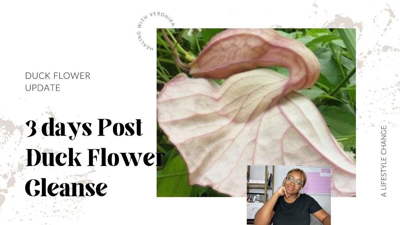 I Survived the Duck Flower Cleanse- 3 days Post Cleanse Update - YouTube