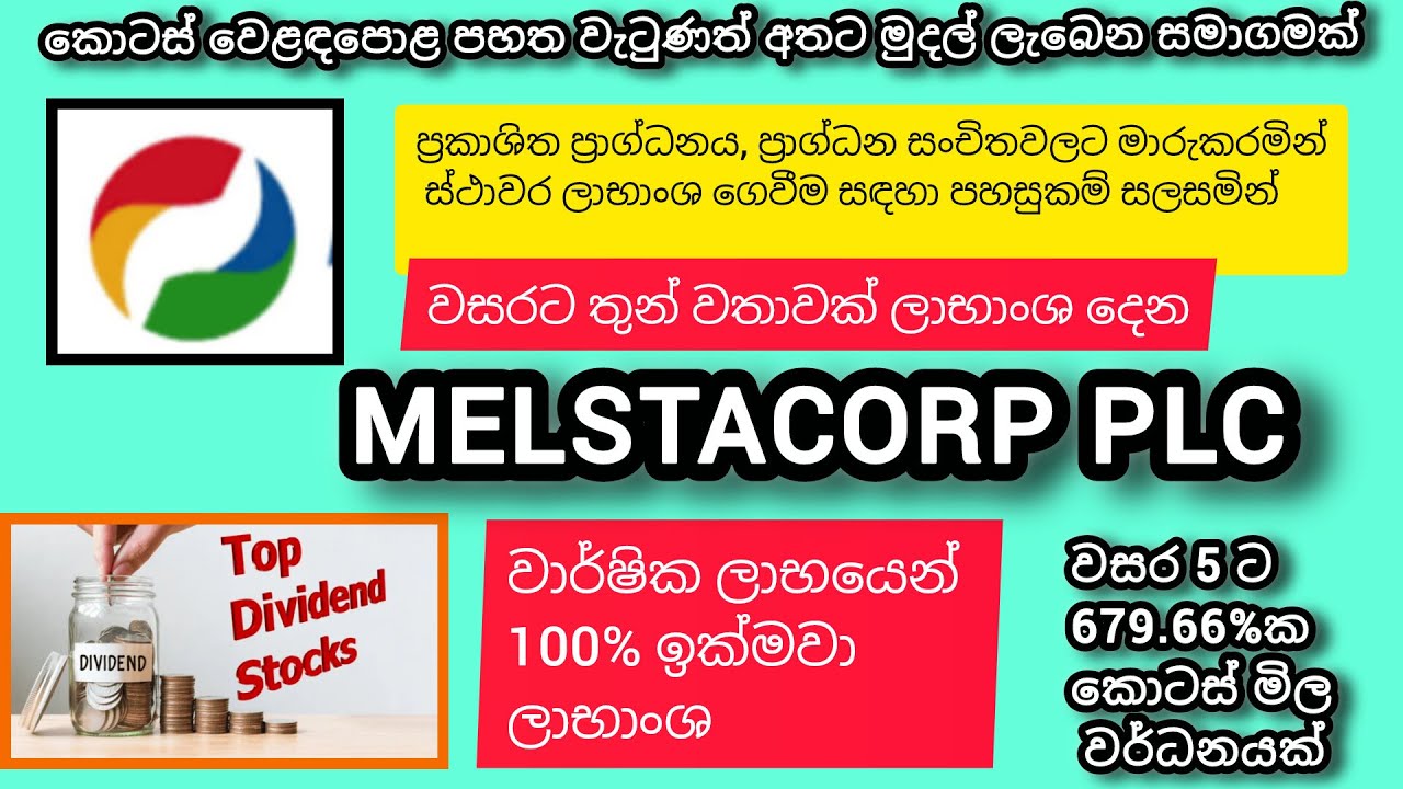 වසරට තුන්වතාවක් dividend ලබා දෙන Melstacorp PLC l sinhala - YouTube