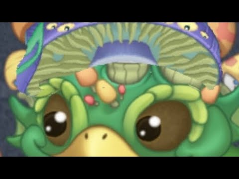 SPOREOW hatching and book animation - YouTube