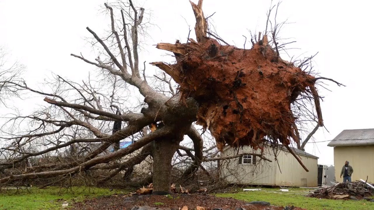 Tornado touches down in Kannapolis uprooting trees and damaging homes ...
