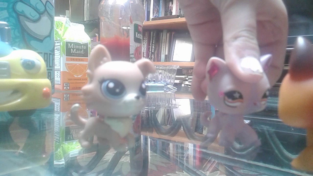 Lps major disaster episode 2 part 2 is coming soon of series 1 - YouTube