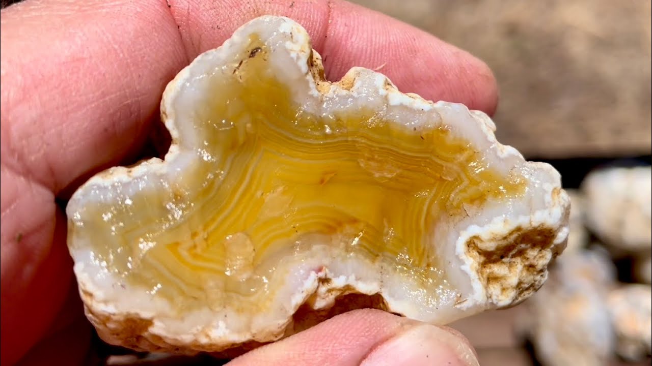 Rockhounding for Blue Agates near Luna, New Mexico. - YouTube