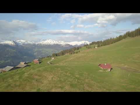 Aufnahmen vum Bodä, Pany