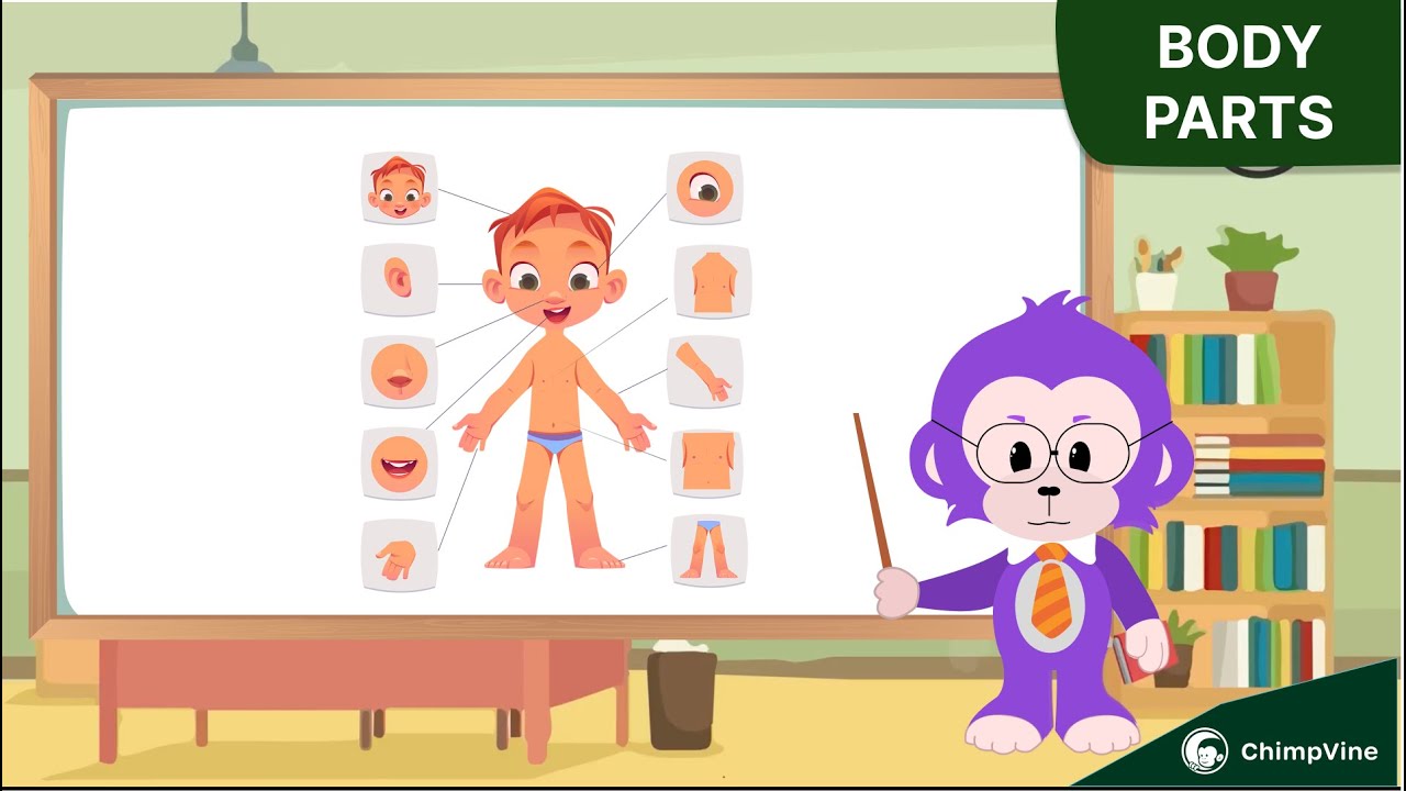 Kids Learn About Different Body Parts | ChimpVine | Learn English For ...
