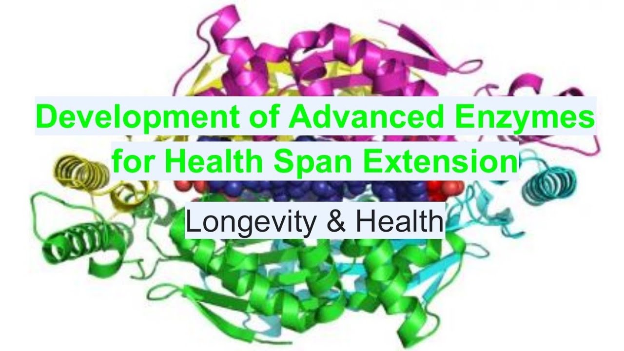 Development of Advanced Enzymes for Healthspan Extension. Longevity ...
