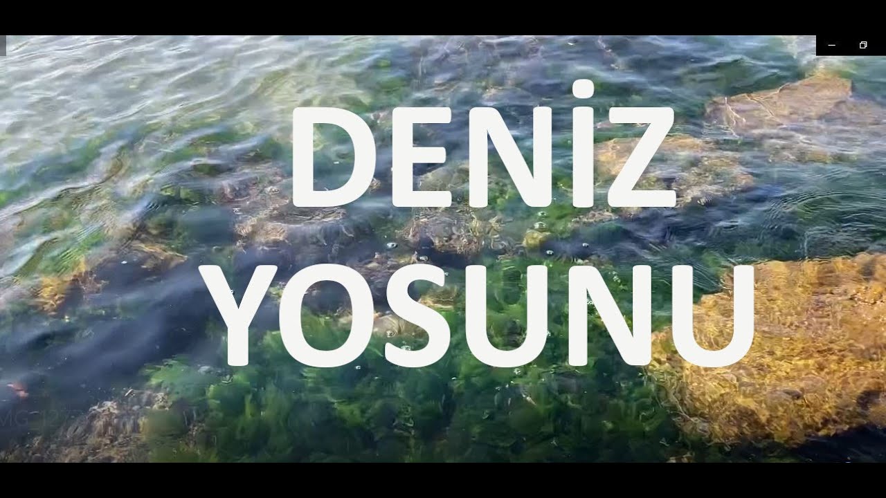 Yosunlar - YouTube