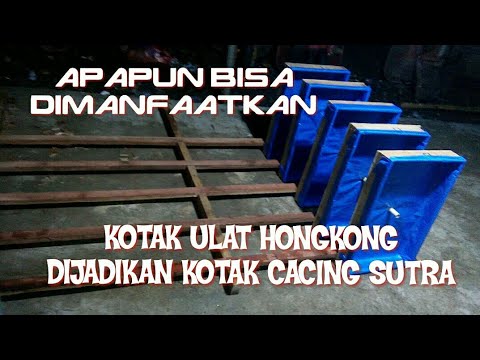 Cara Membuat Rak Cacing Sutra II Inspirasi Usaha Budidaya - YouTube