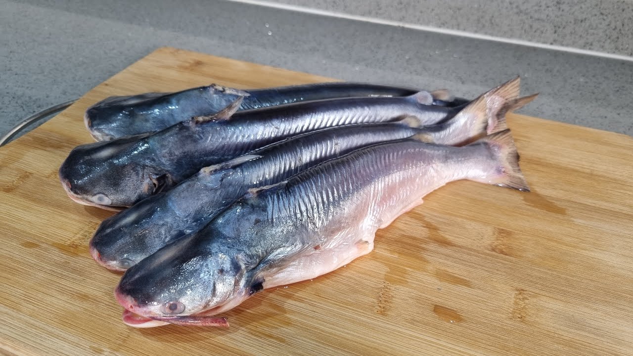 CATFISH CURRY | Barbamang vis| AllAboutFoodRecipes - YouTube