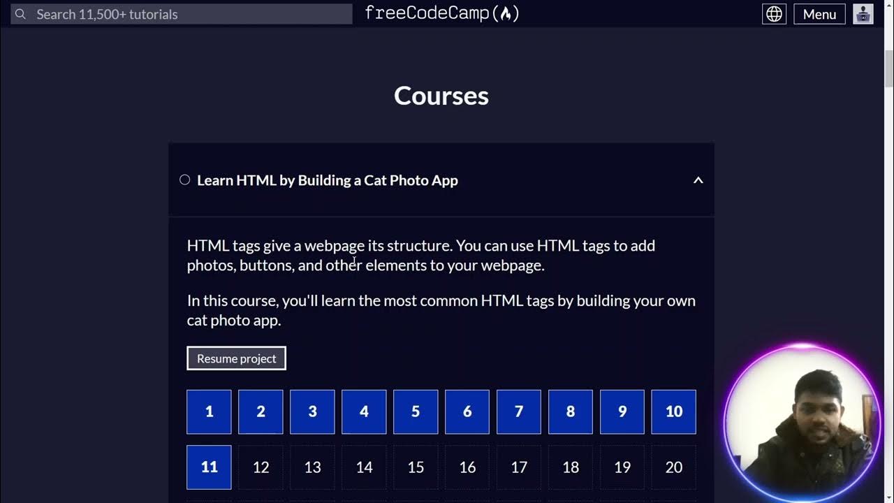 FreeCodeCamp || Responsive Web Design Overview || Learn HTML by Building a Cat Photo App || Step ...