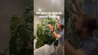 Jungle shenanigans 🌱🦜🦧 #plants #rainforest #plantcare #houseplants #experience #animals