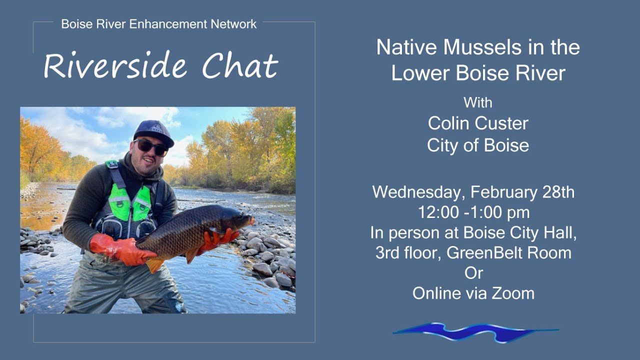 Riverside Chat - Native Mussels in the Lower Boise River with Colin ...
