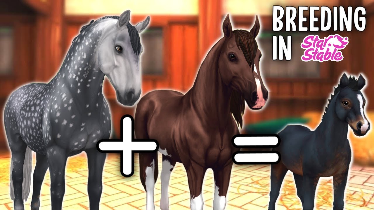 BREEDING GENERATION 4 HORSES IN STAR STABLE!! CUSTOM COATS, HORSE ...